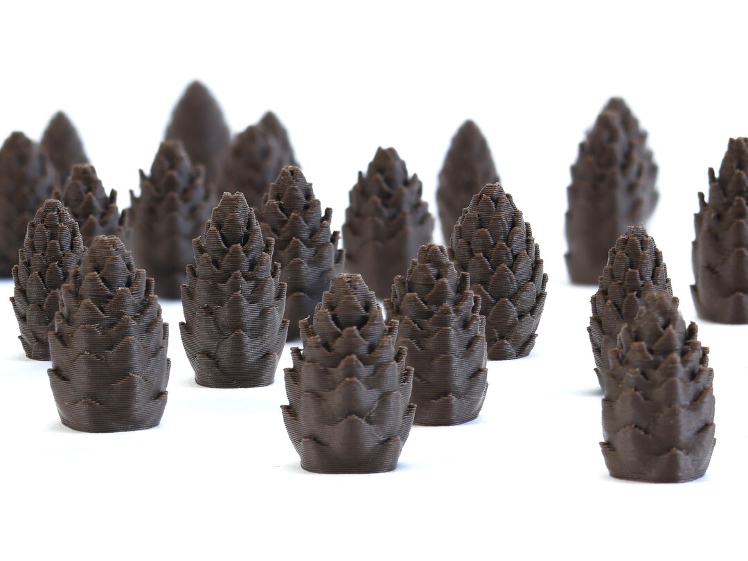 Cascadia Pine Cones X40 - Etsy