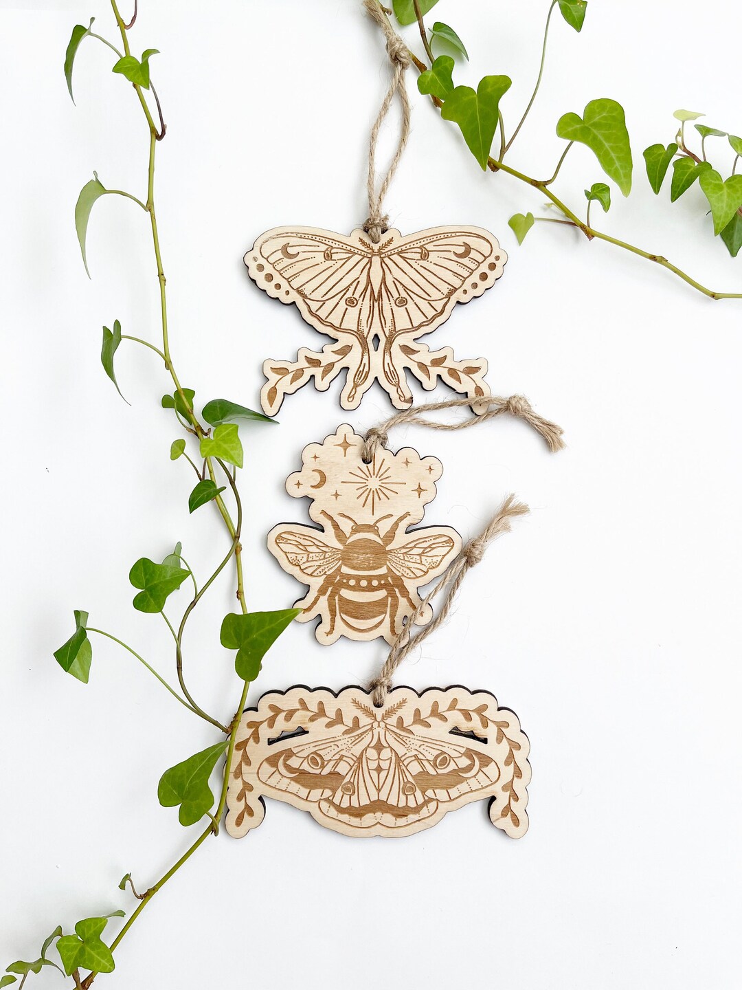 Engraved Insect Wooden Gift Tag Set Mystical Gifts Bee Tag Luna Moth ...