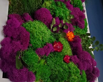 Moss Shadow Box | Etsy