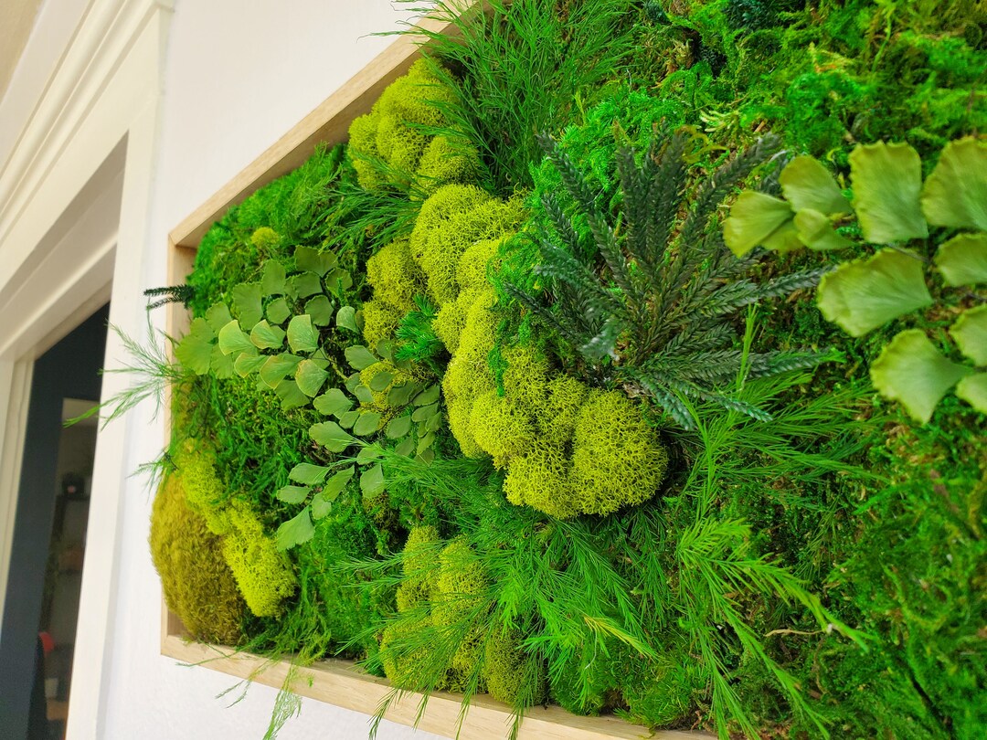 Framed Green Moss Wall Art Natural Botanical Garden Country - Etsy