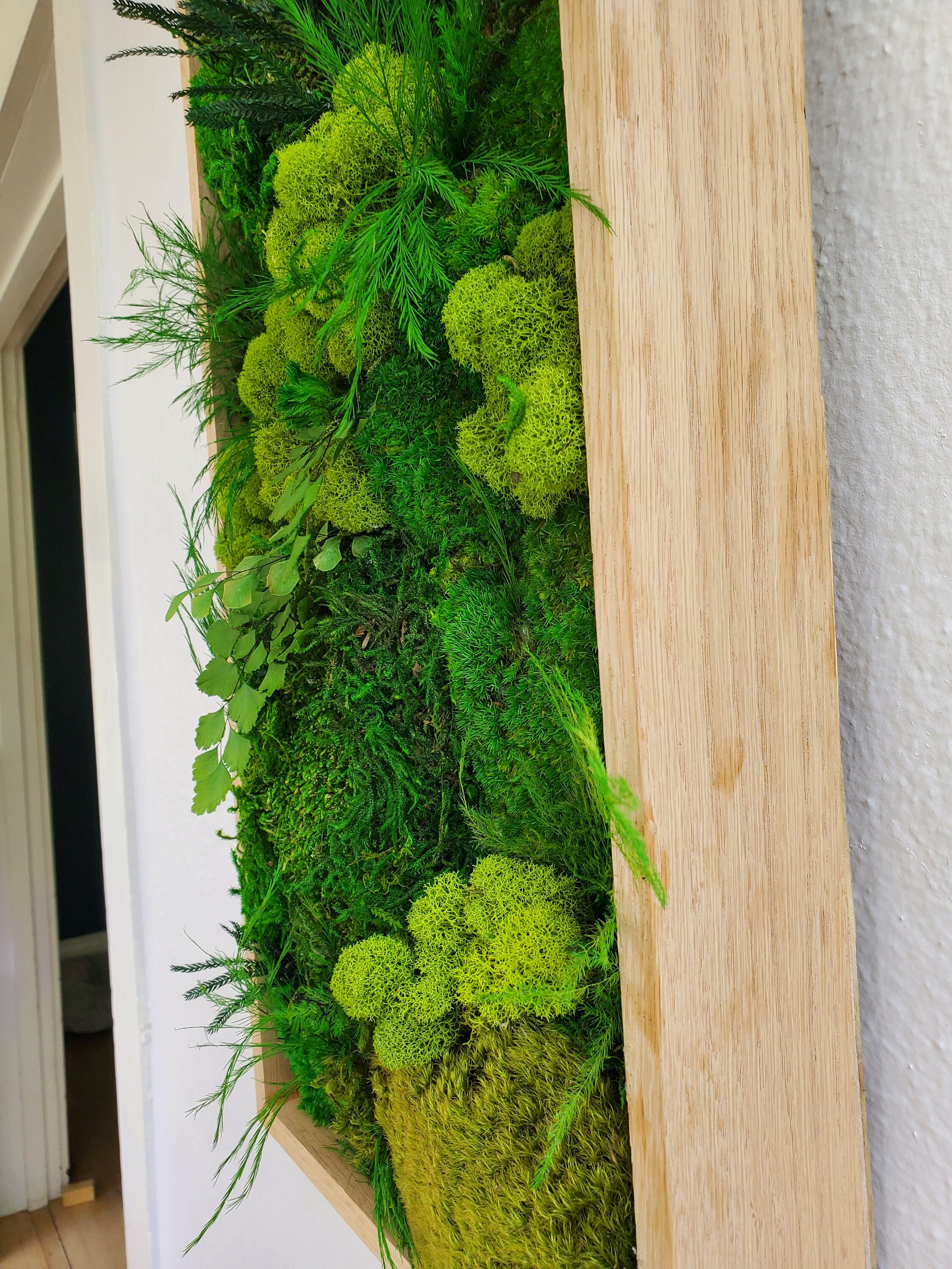 Framed Green Moss Wall Art Natural Botanical Garden Country - Etsy