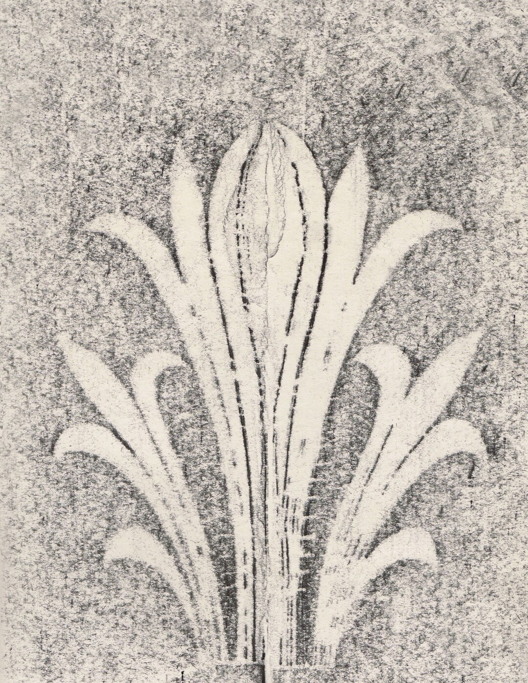 Charcoal Gravestone Rubbing Print [tall Fern] - Etsy