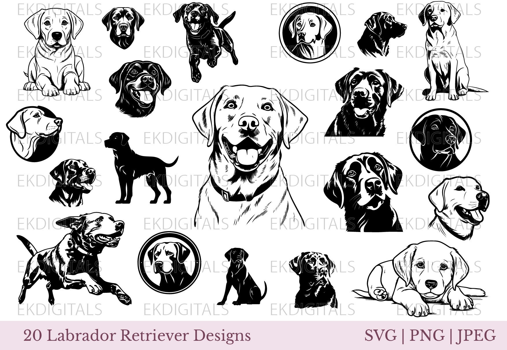 Black Labrador Logo 2,239 Black Labrador Puppy Stock Photos, High Res