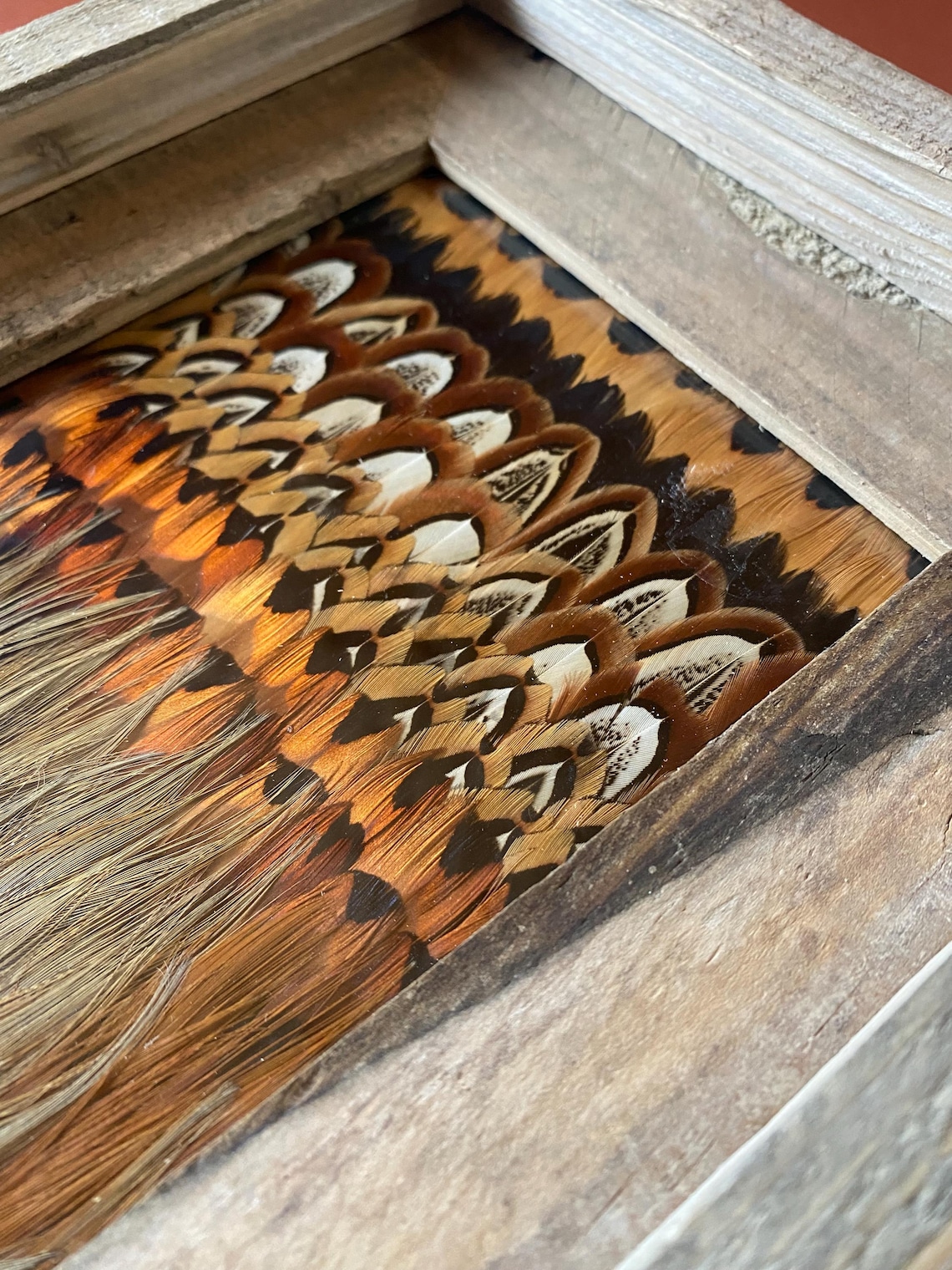 Mini Pheasant Feather Art Taxidermy in Rustic Glass Covered Frame - Etsy
