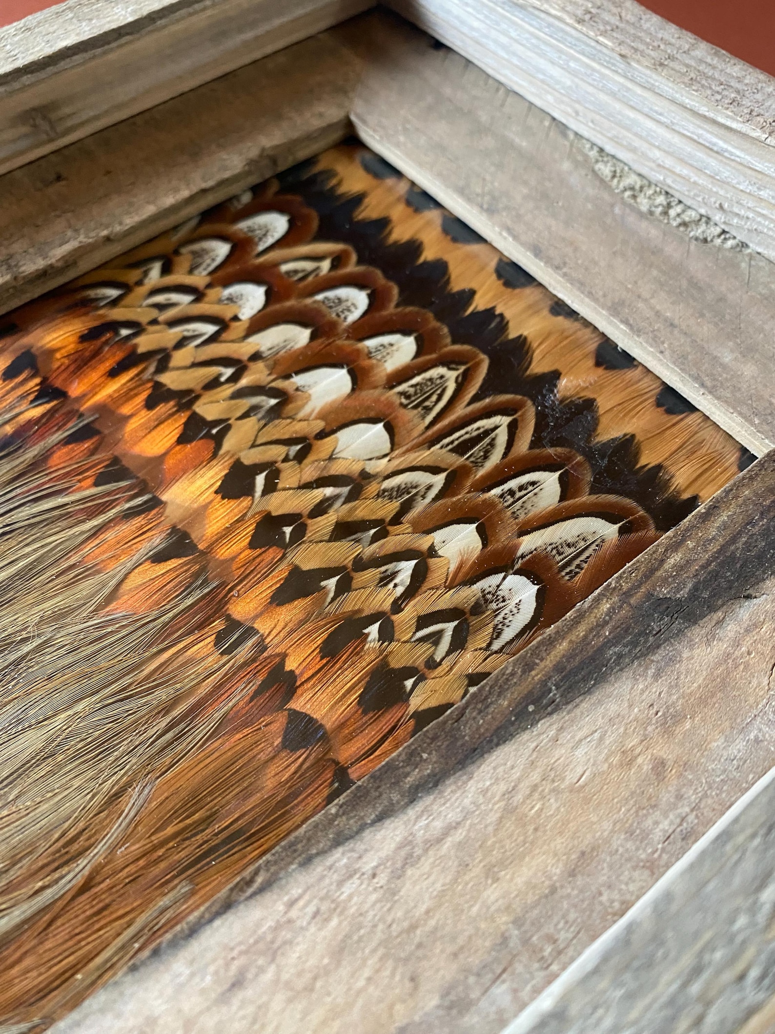 Mini Pheasant Feather Art Taxidermy in Rustic Glass Covered Frame - Etsy