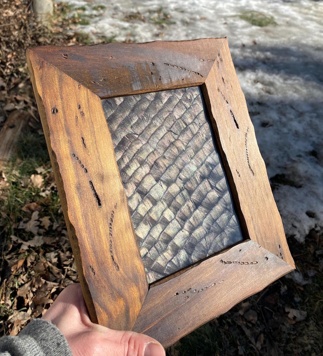 Wild Turkey Feather Art Taxidermy in Rustic Glass Covered Frame - Etsy