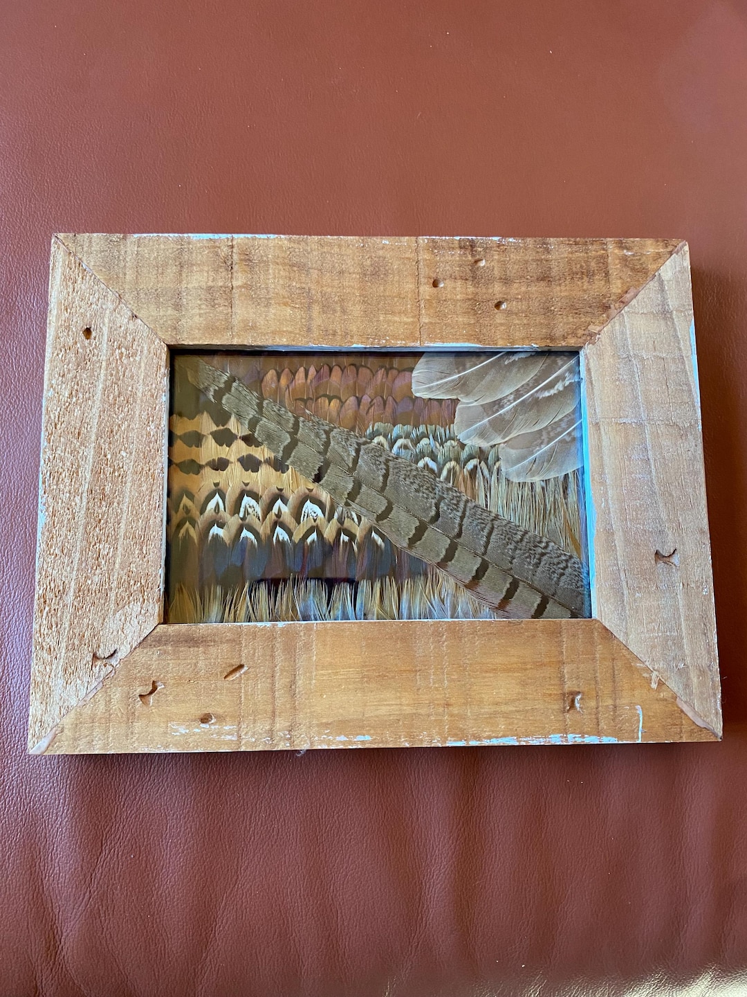 Pheasant Feather Art Taxidermy in Rustic Glass Covered Frame - Etsy