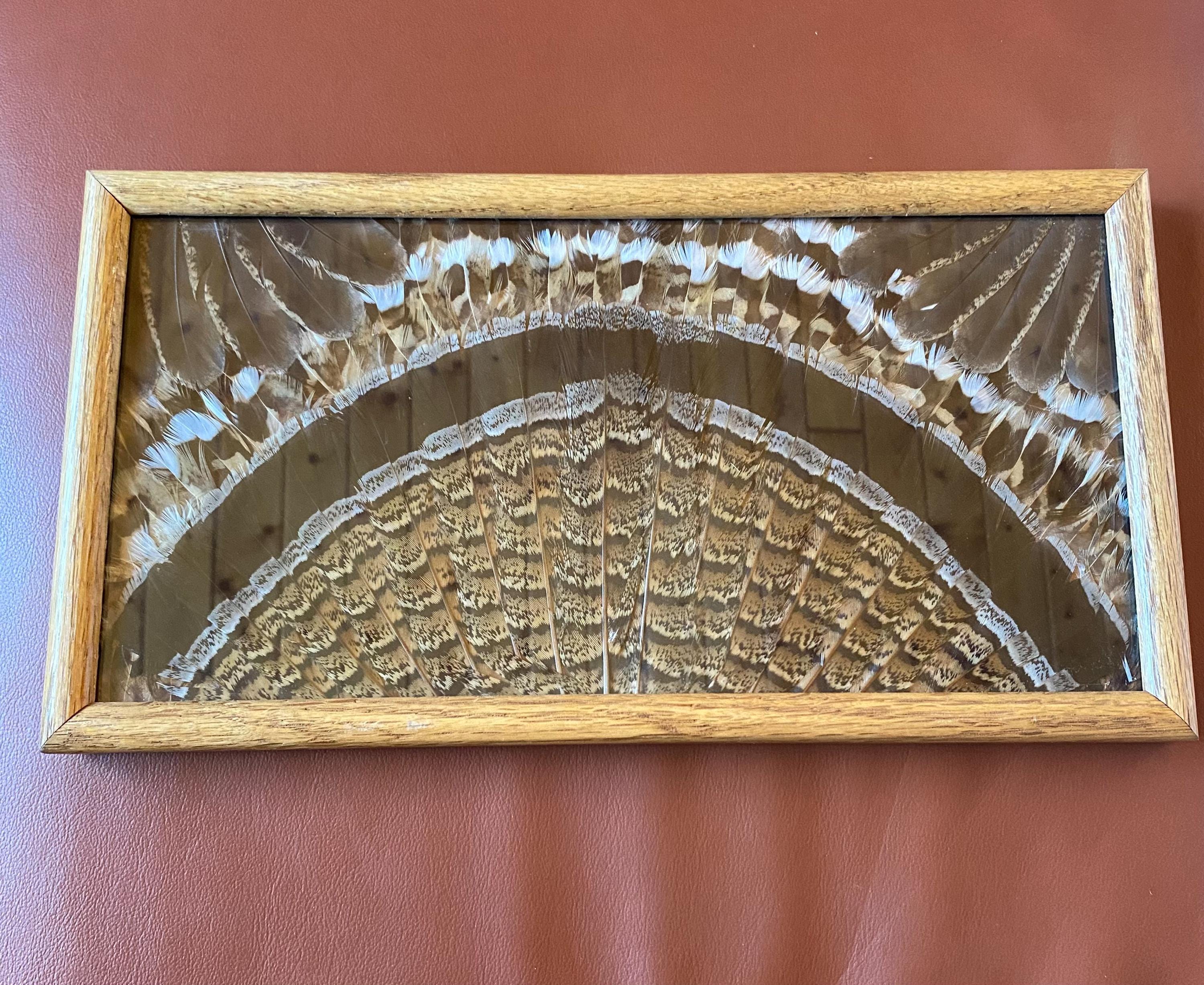 Ruffed Grouse Feather Art Taxidermy in Glass Covered Frame - Etsy