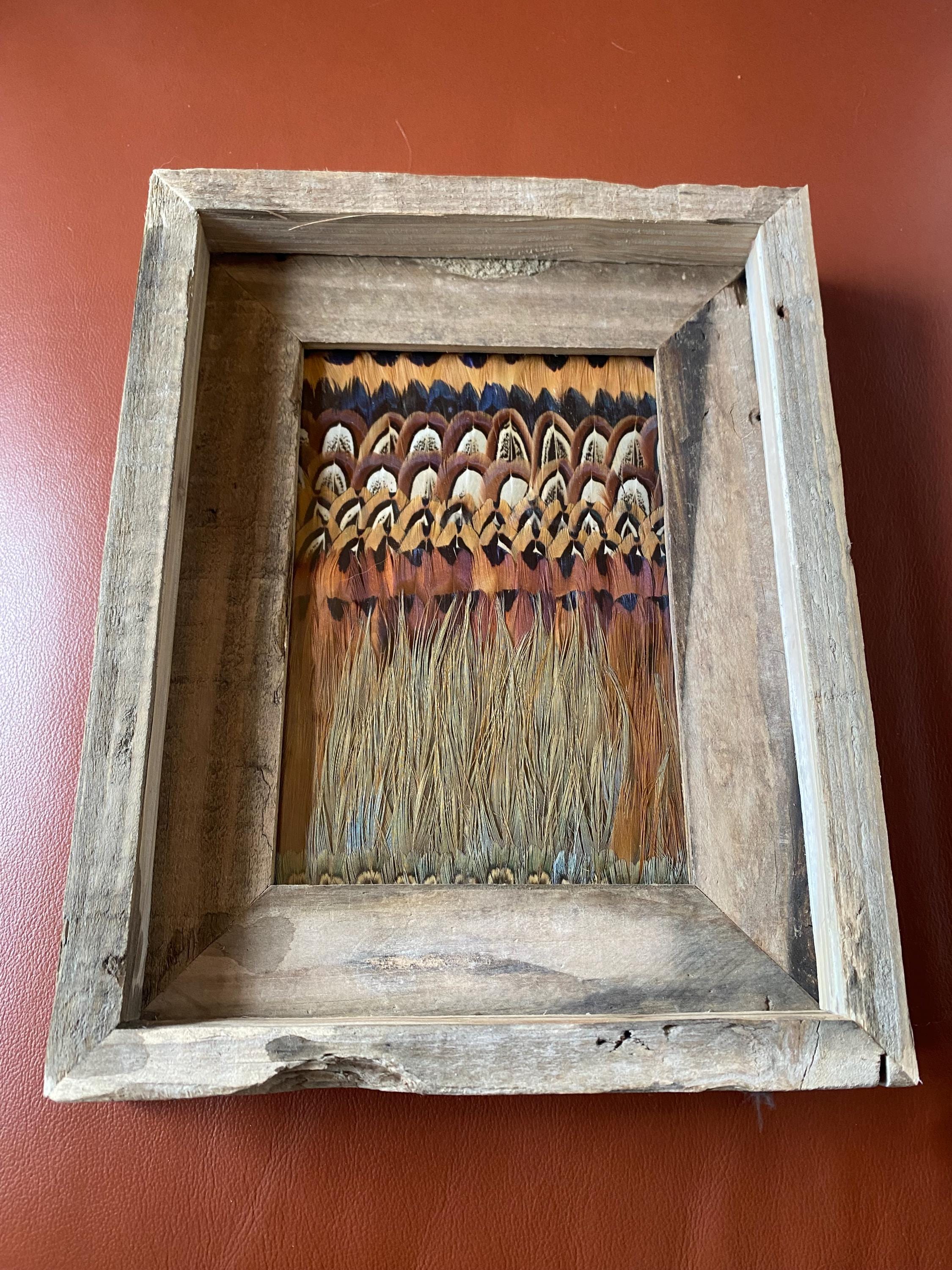 Mini Pheasant Feather Art Taxidermy in Rustic Glass Covered Frame - Etsy