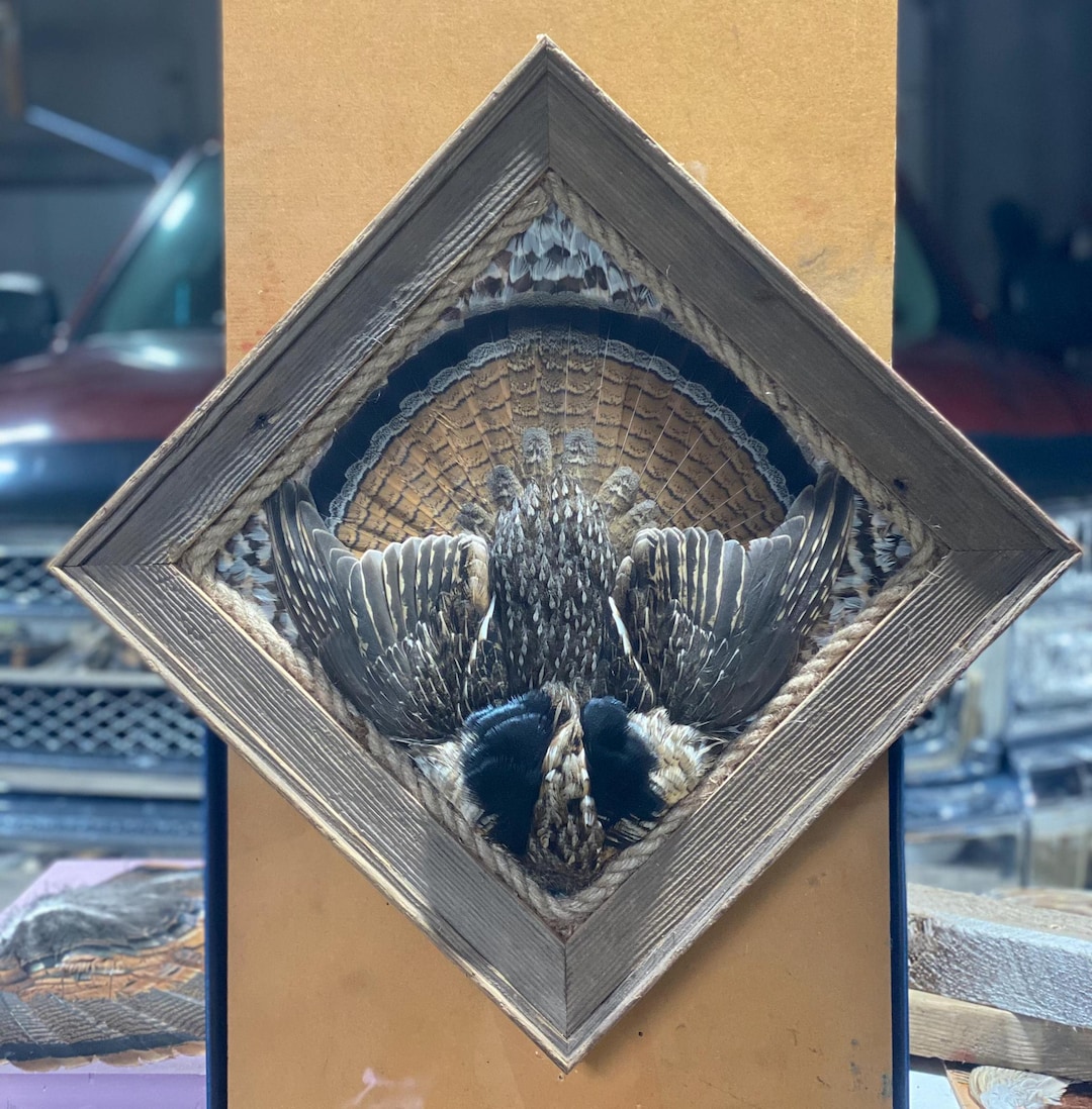 Red Phase Ruffed Grouse Feather Art Taxidermy Displayed Inside ...