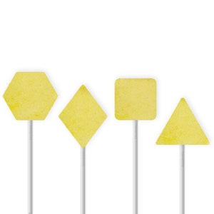 Rectangle Cake Pop Mold - Etsy