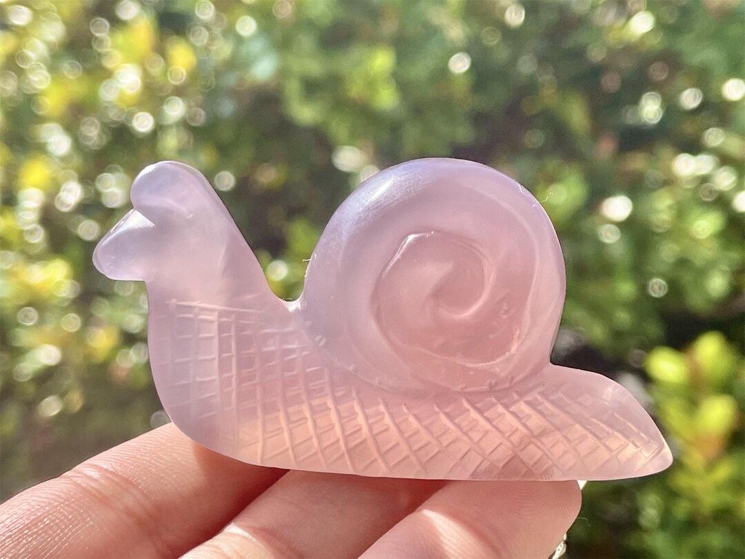 2.8" Natural Fluorite Hand Carved Snail,crystal Quartz Skull,snail ...