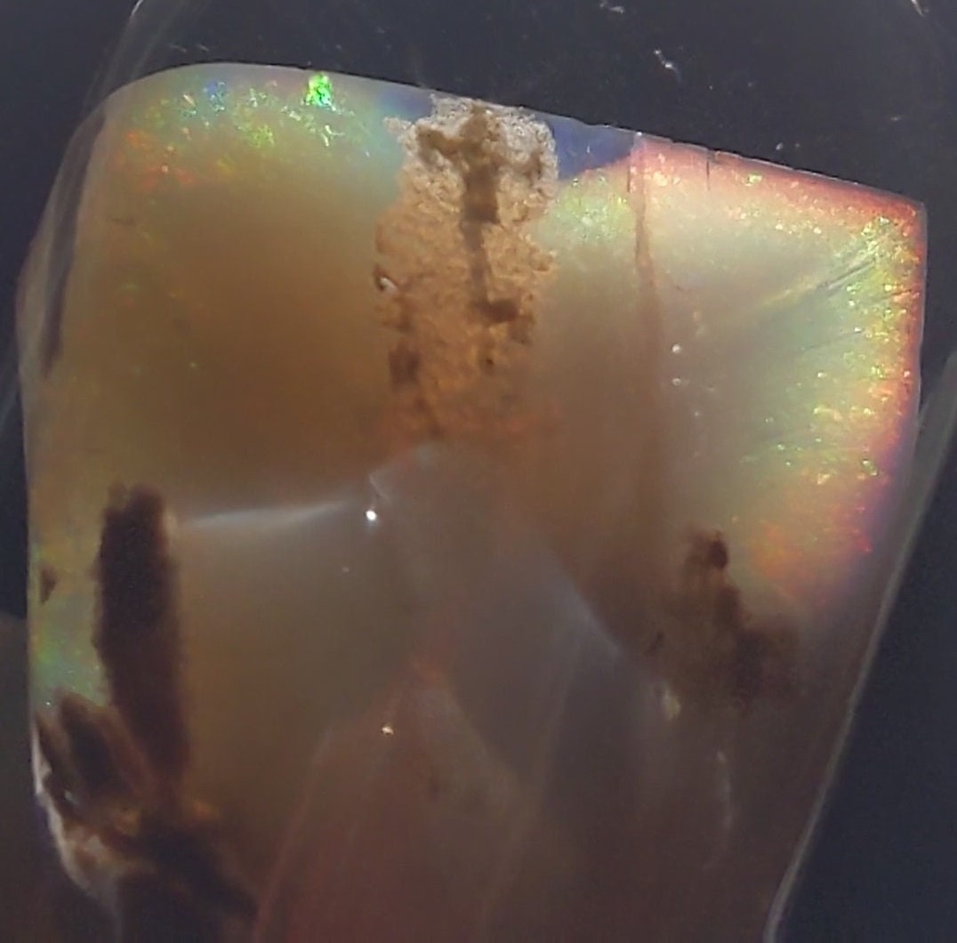 Number9 - Opal Specimen Display - Volcanic Opals - Contraluz Limbcasts ...