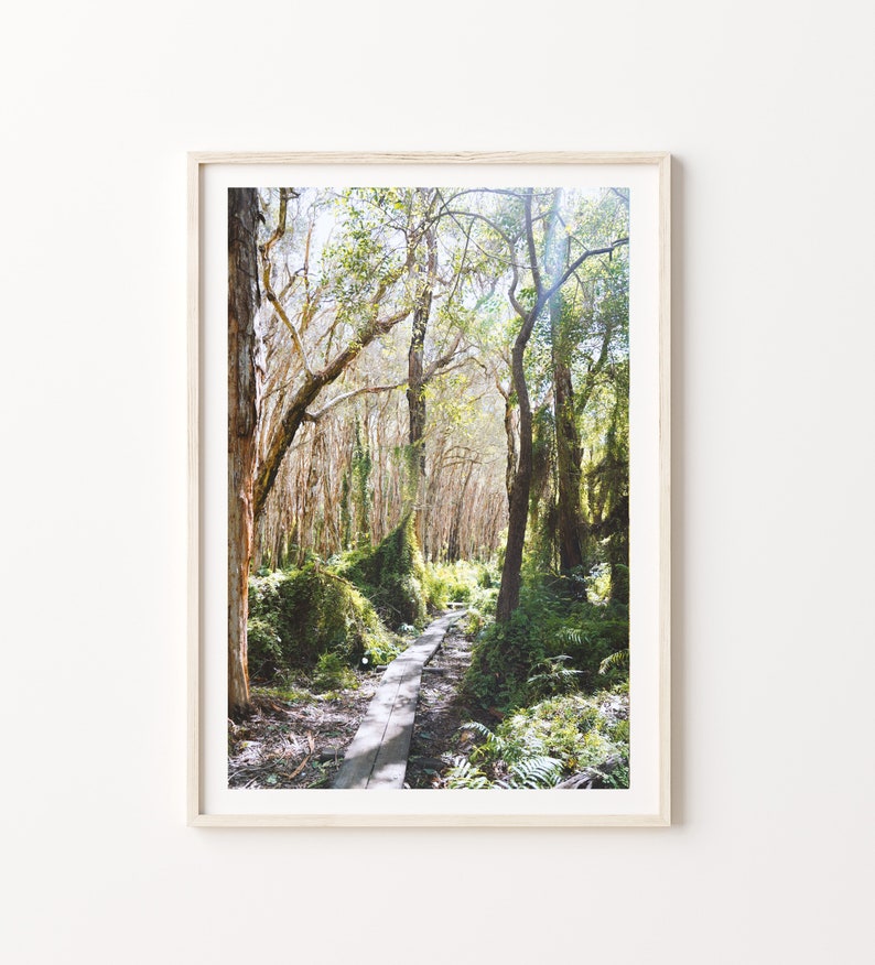 Australian Bushland Print, Paperbark Trees, Digital Download Poster ...