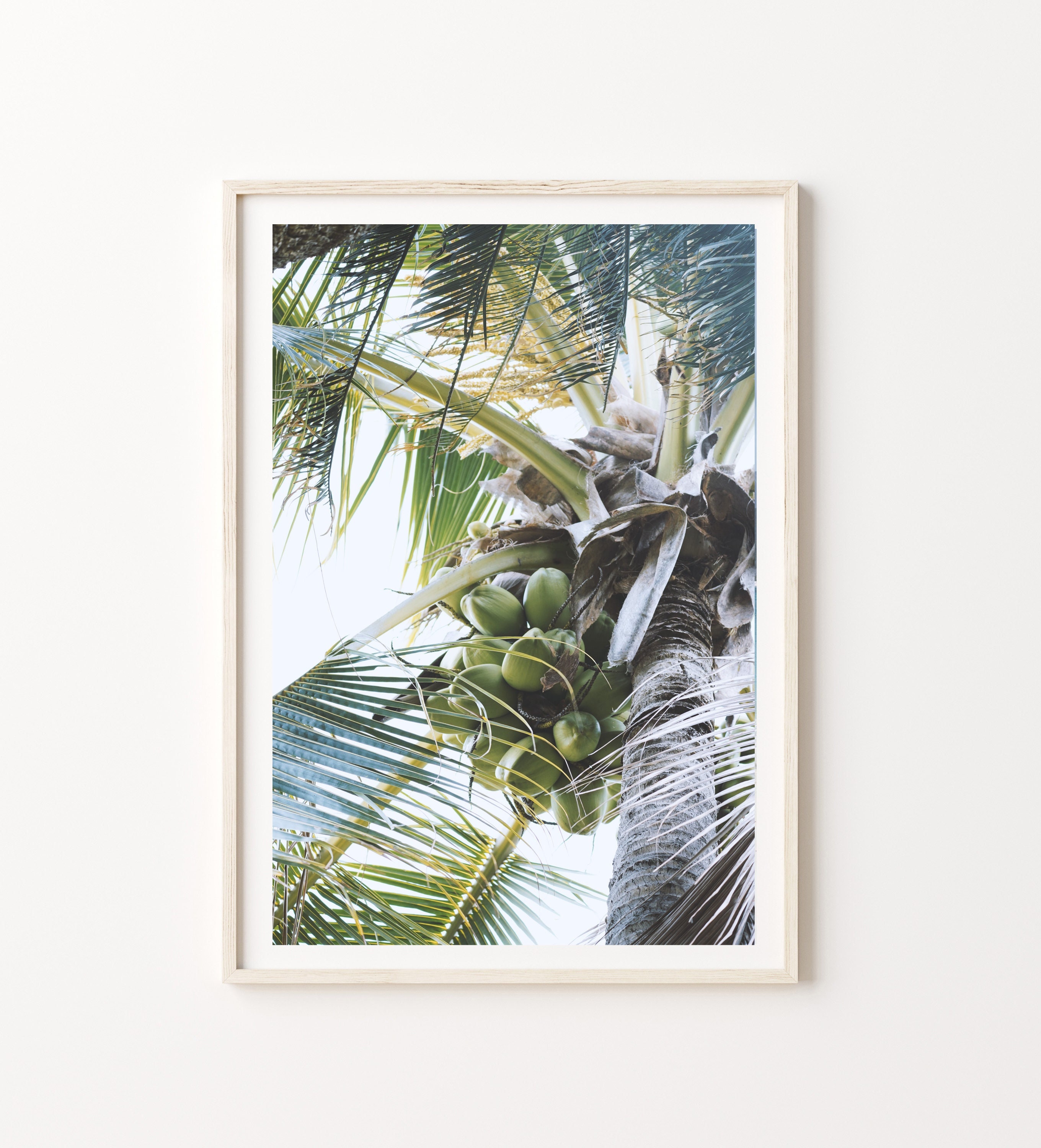 Coconut Tree Print, Digital Download, Coastal Photography Palm Tree ...