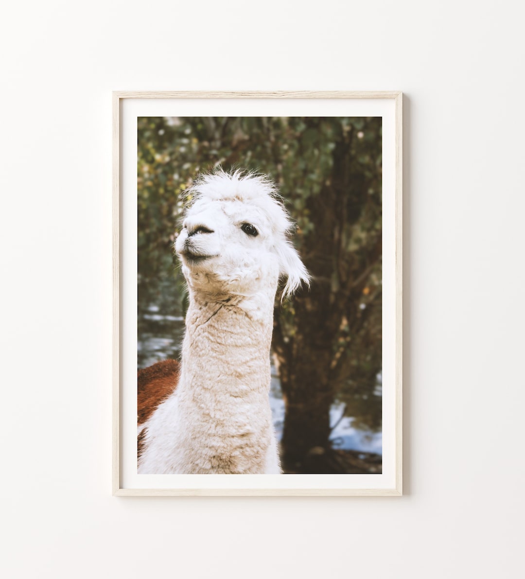Alpaca Art Print, Digital Art Download, Lama Alpaca Animal Boho Print ...