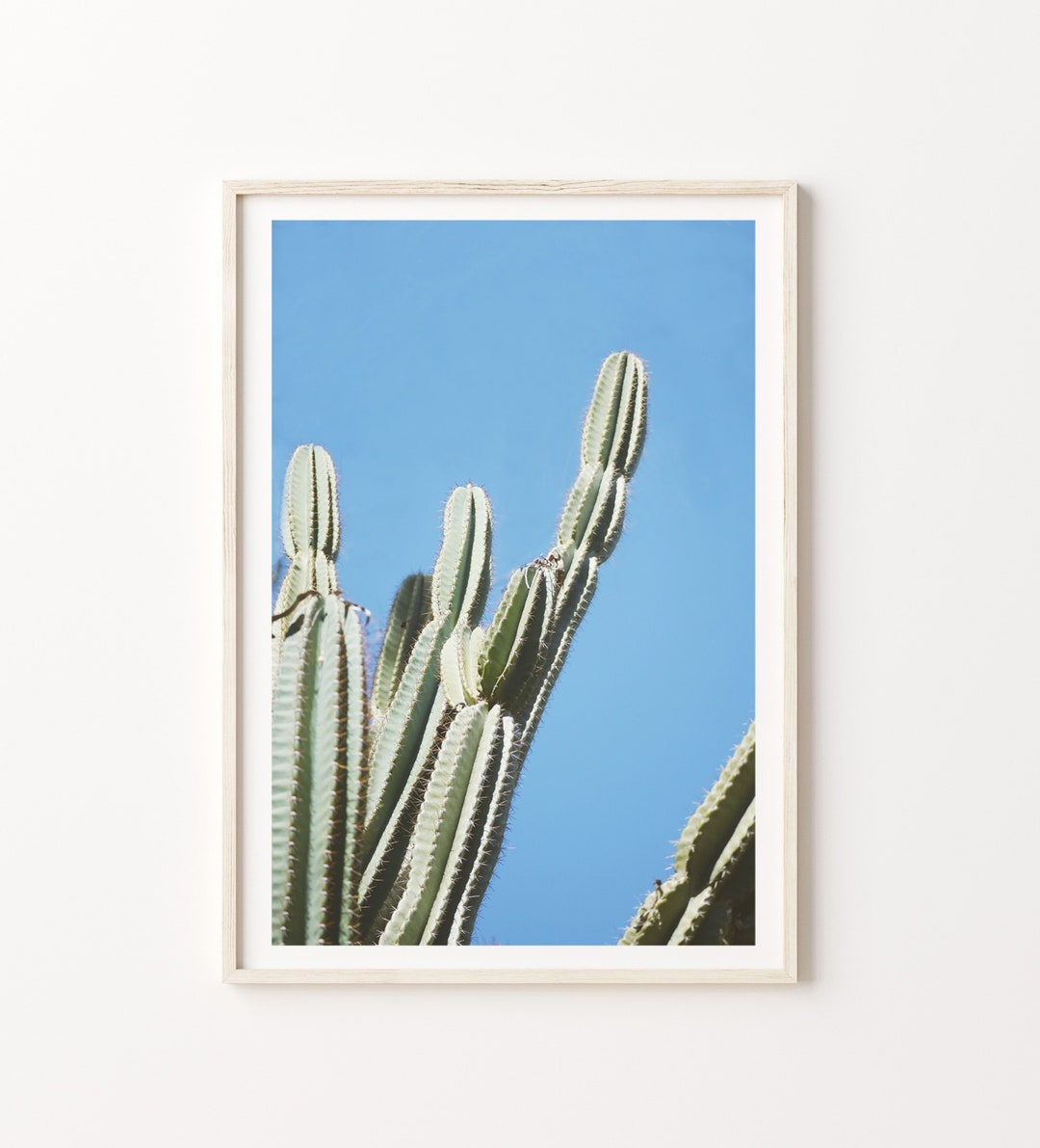 Cactus Print, Digital Download, Boho Cactus Photography Print, Coastal ...