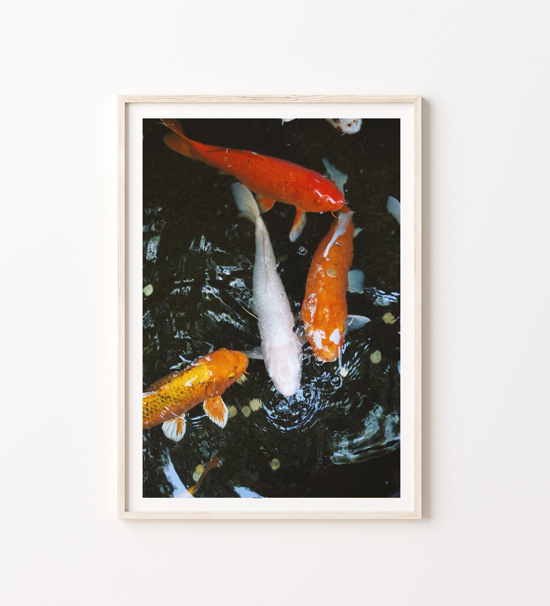 Koi Fish Print, Digital Print, Printable Art, Koi Fish Photography ...