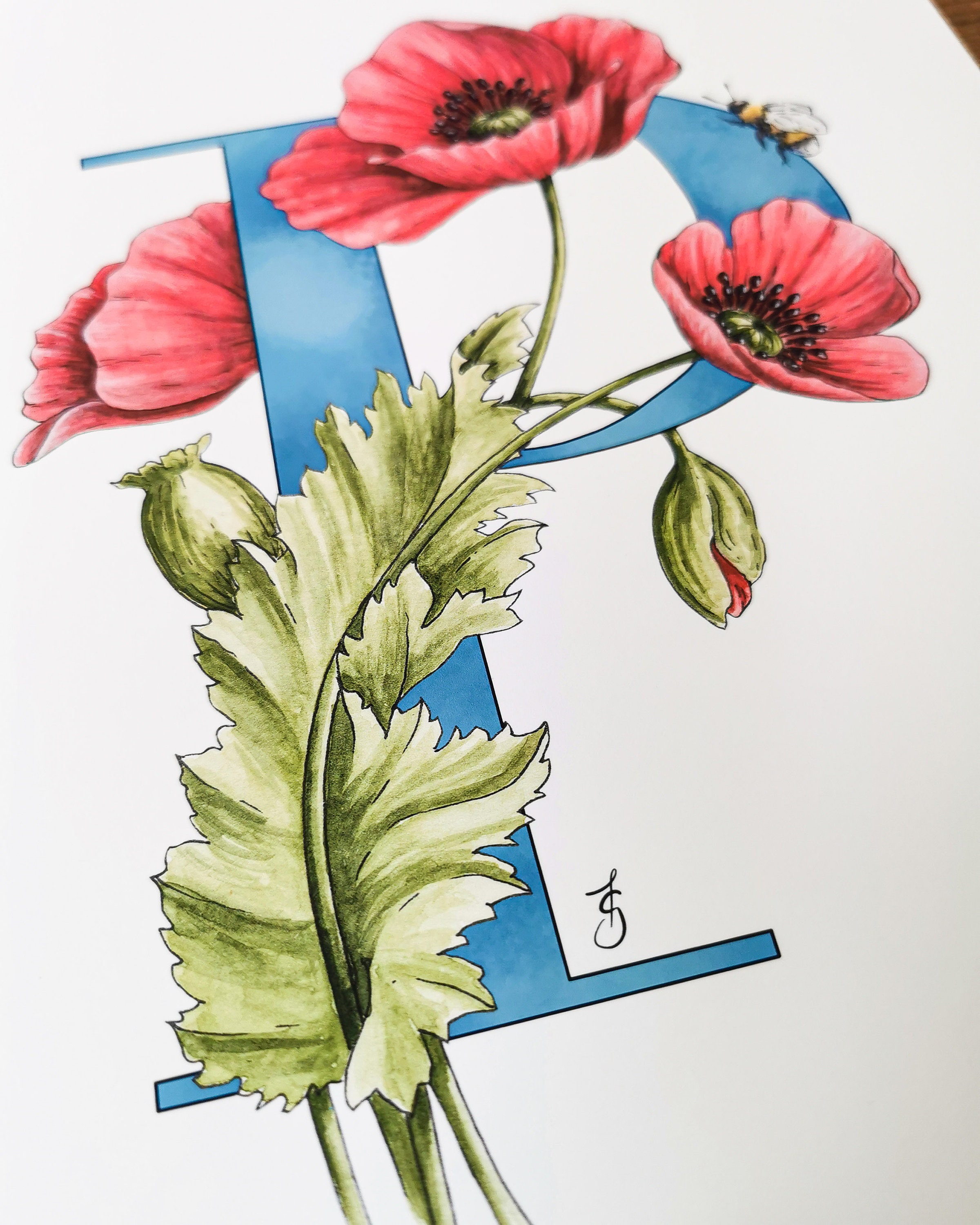 P is for Poppy Flower Letter Print. A Blue or Pink Letter P - Etsy UK