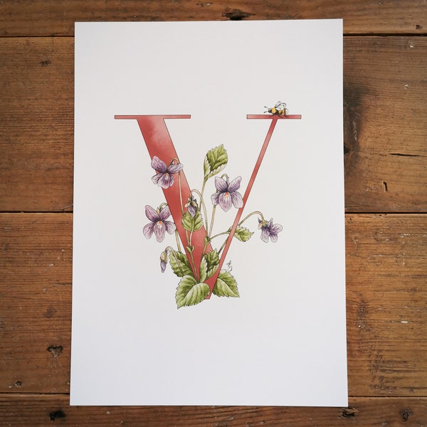 Violets - Etsy
