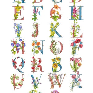 The Flower Alphabet Print. the Alphabet in Pink and Blue Letters With ...