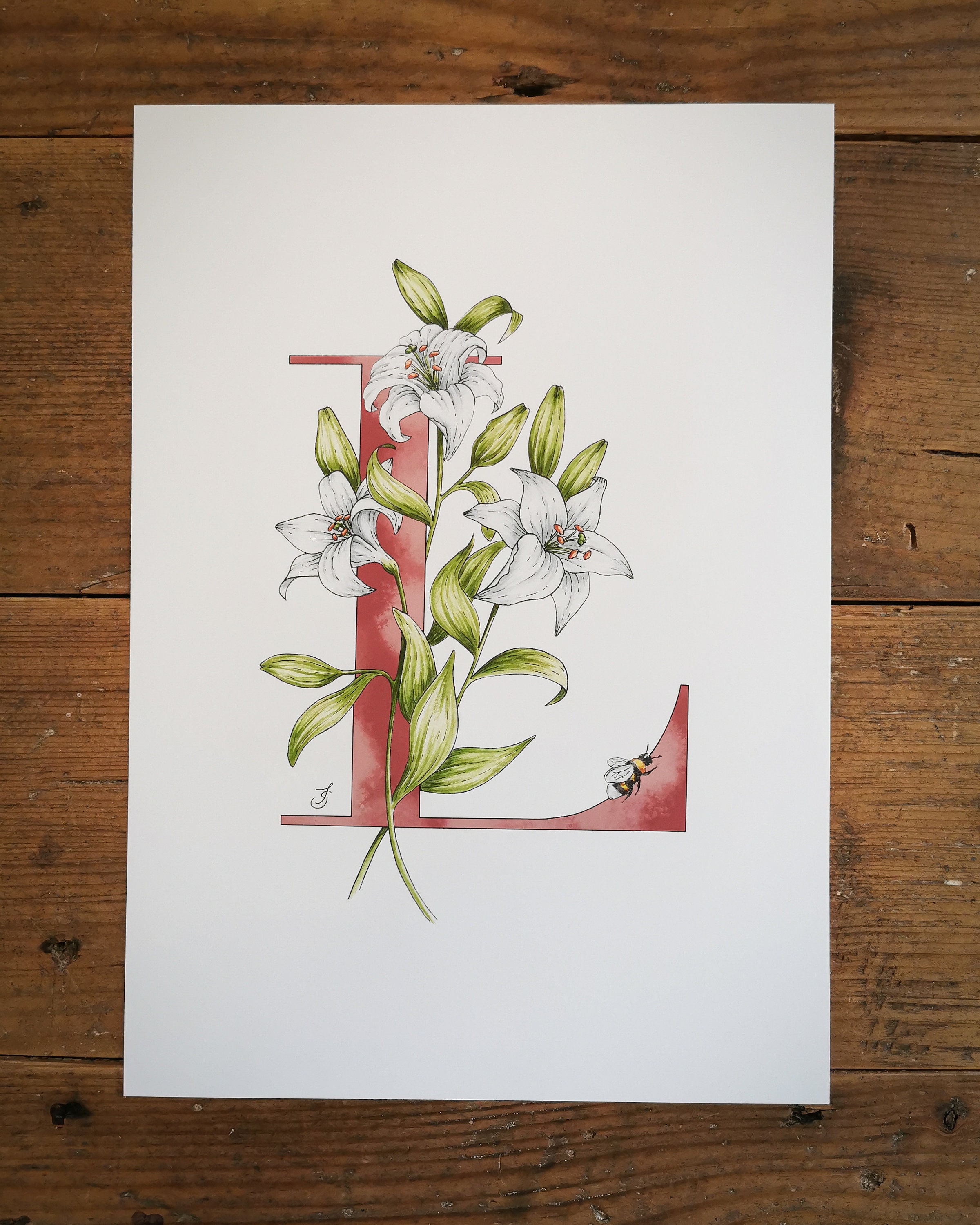 L is for Lily Print With a Blue or Pink Letter L Lilies - Etsy