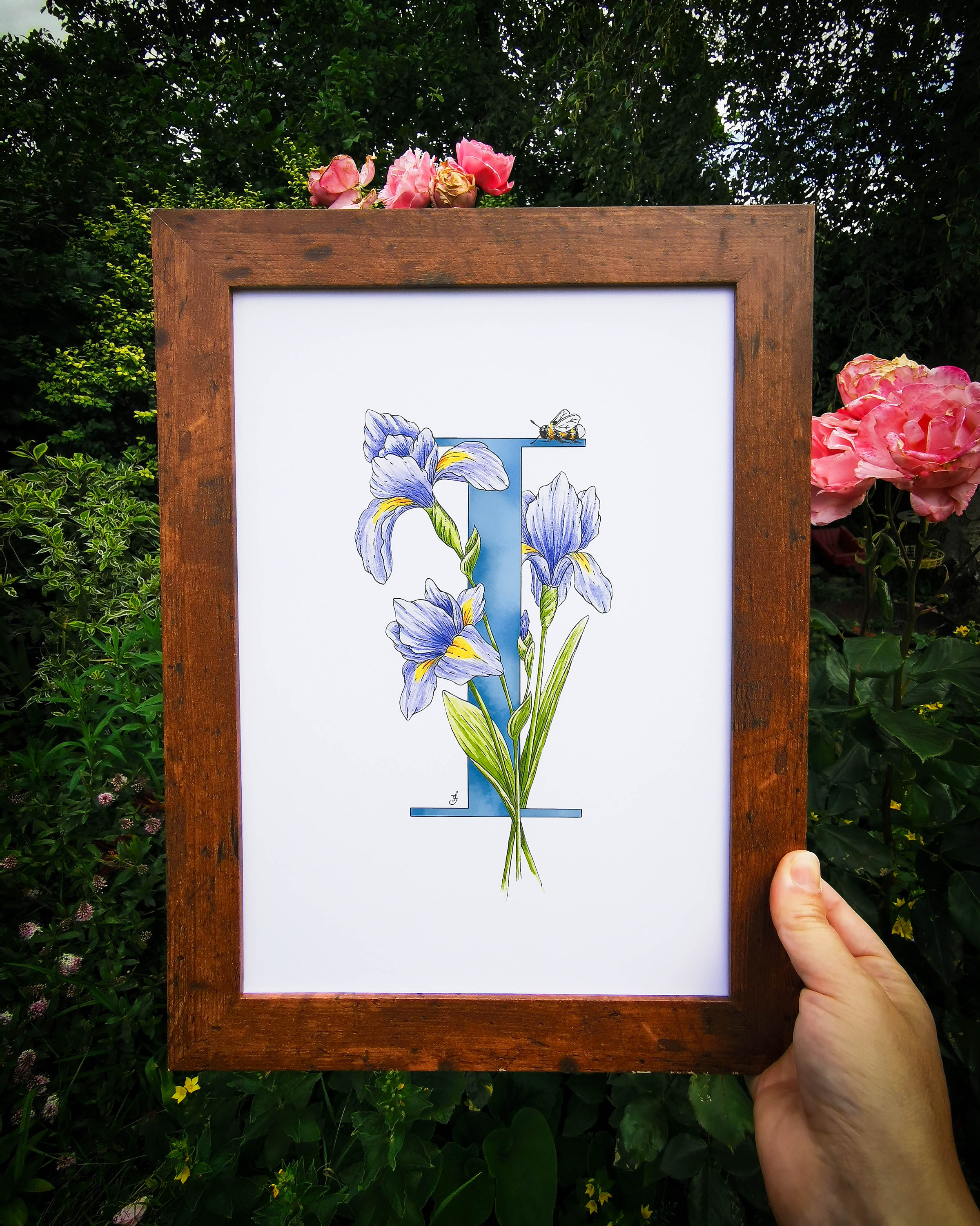 I is for Iris Floral Print. A Blue or Pink Letter I With - Etsy Israel