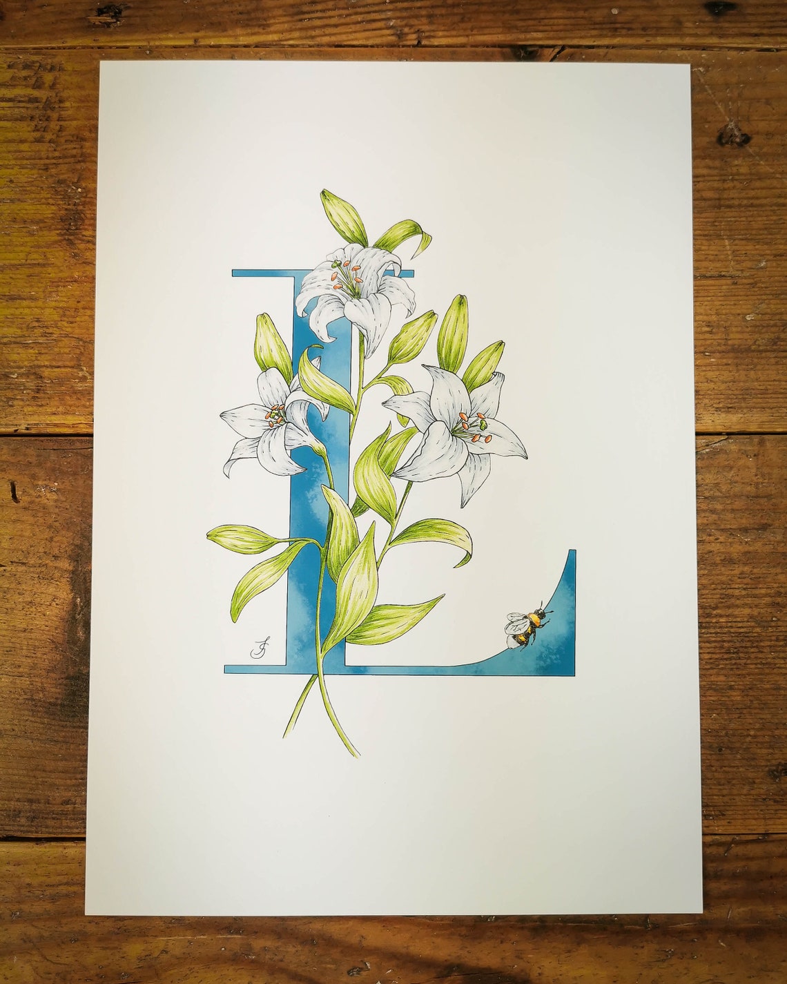 L is for Lily Print With a Blue or Pink Letter L Lilies | Etsy UK