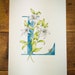 L is for Lily, Print With a Blue or Pink Letter L, Lilies Growing ...