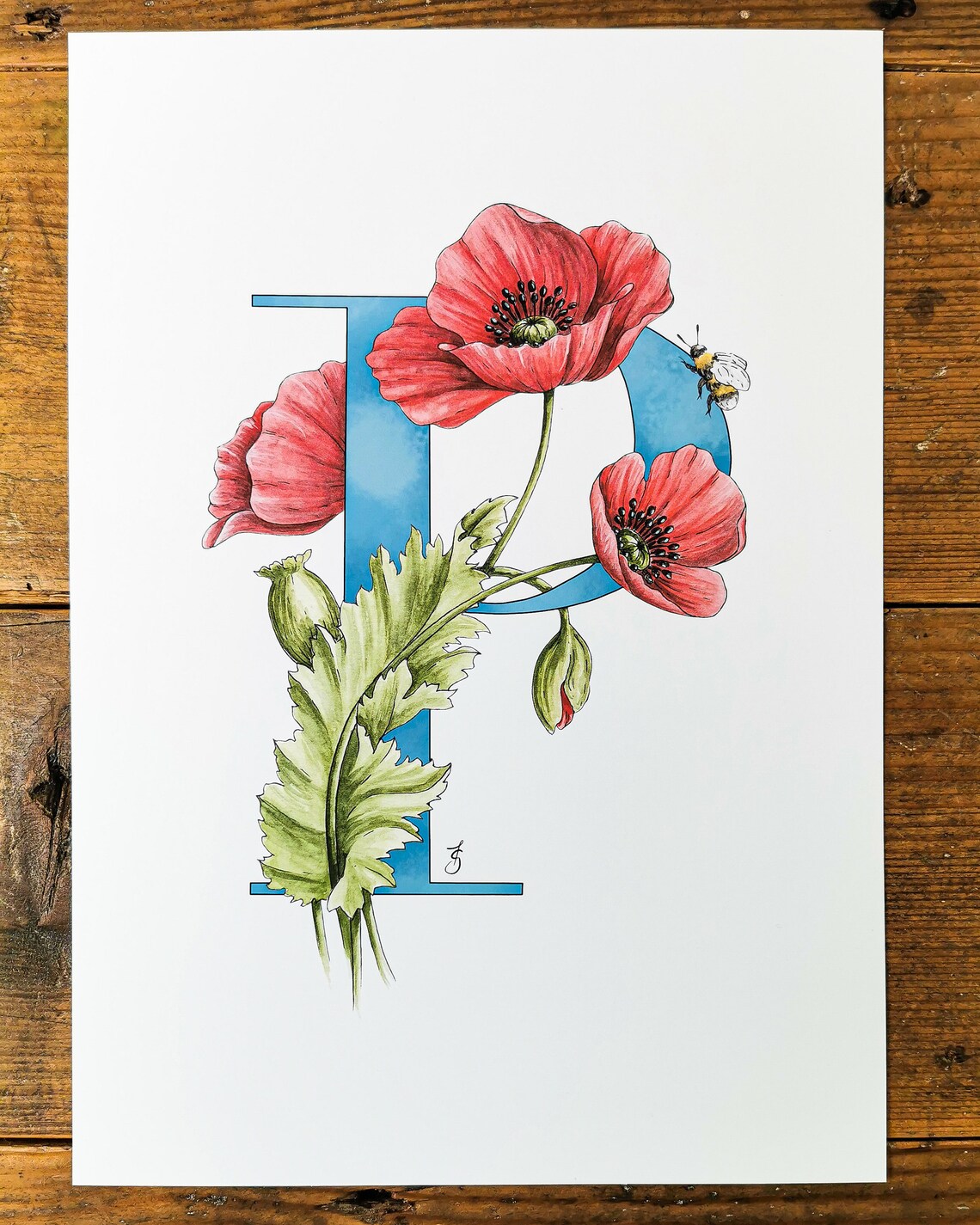 P is for Poppy Flower Letter Print. A Blue or Pink Letter P - Etsy UK