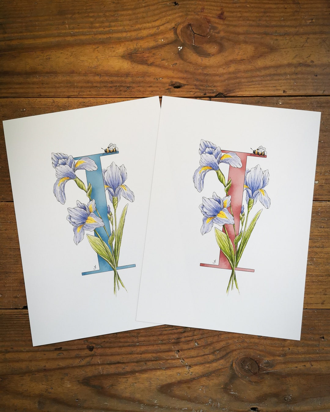 I is for Iris, Floral Print. A Blue or Pink Letter I With Irises ...
