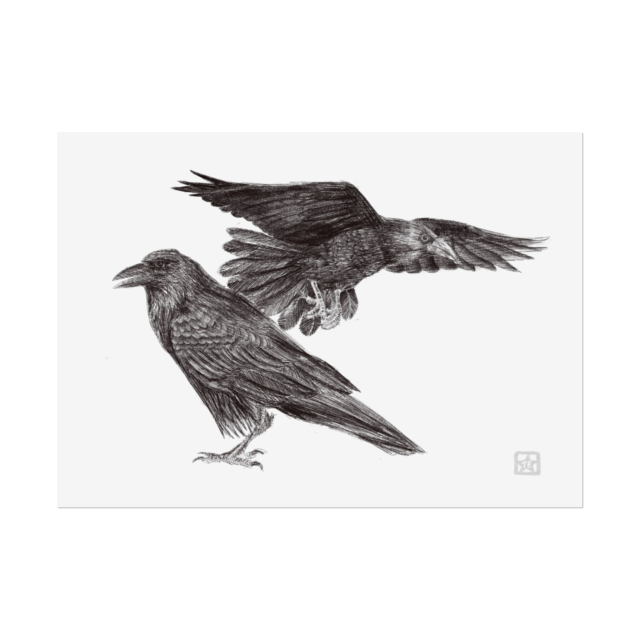 Raven Sketch Poster - Etsy
