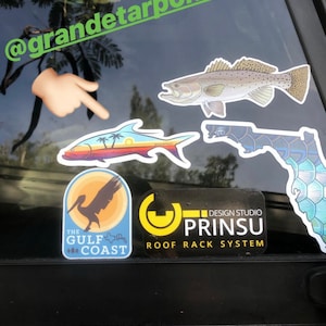 Beach Tarpon Sticker - Etsy