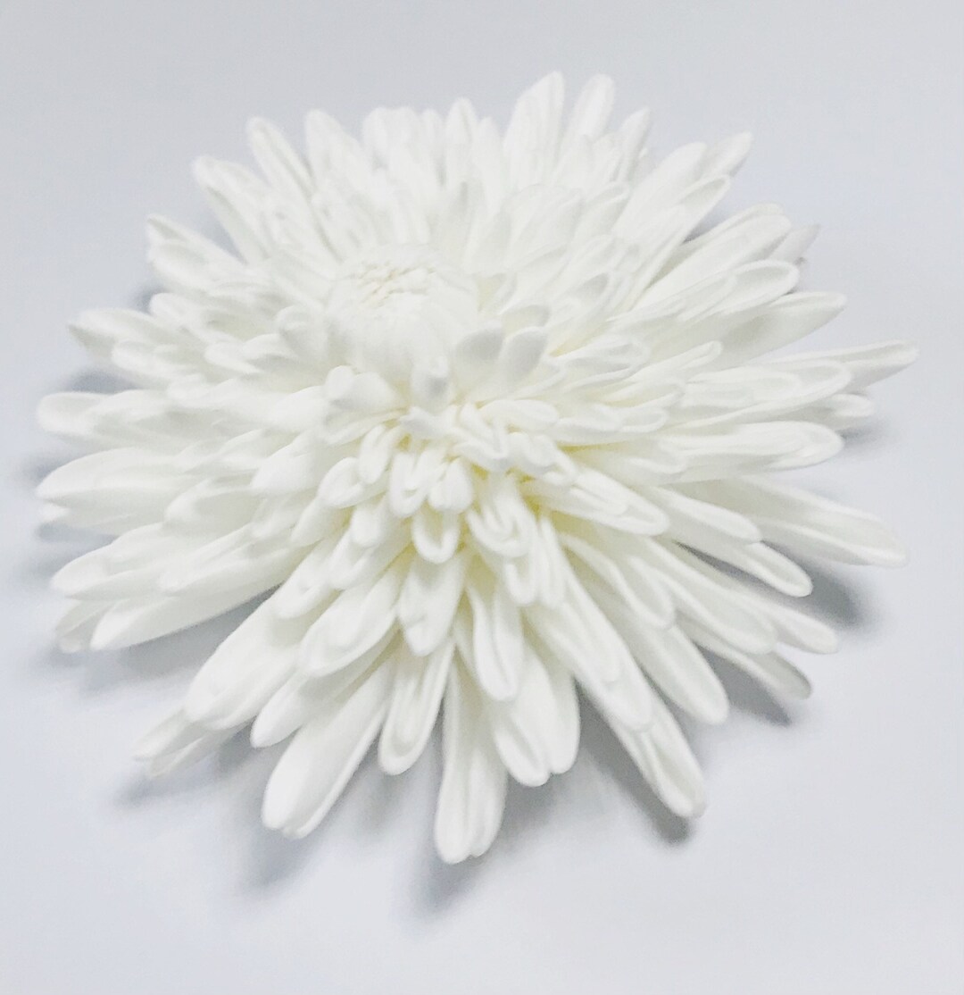White Realistic Flower Brooch White Chrysanthemum Real Touch Flowers ...