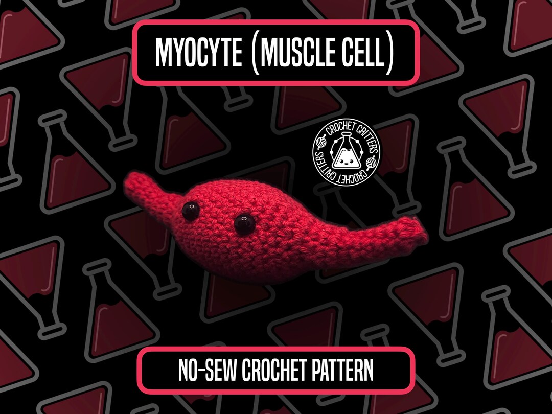 Myocyte (muscle Cell) - No-sew Crochet Pattern - Etsy