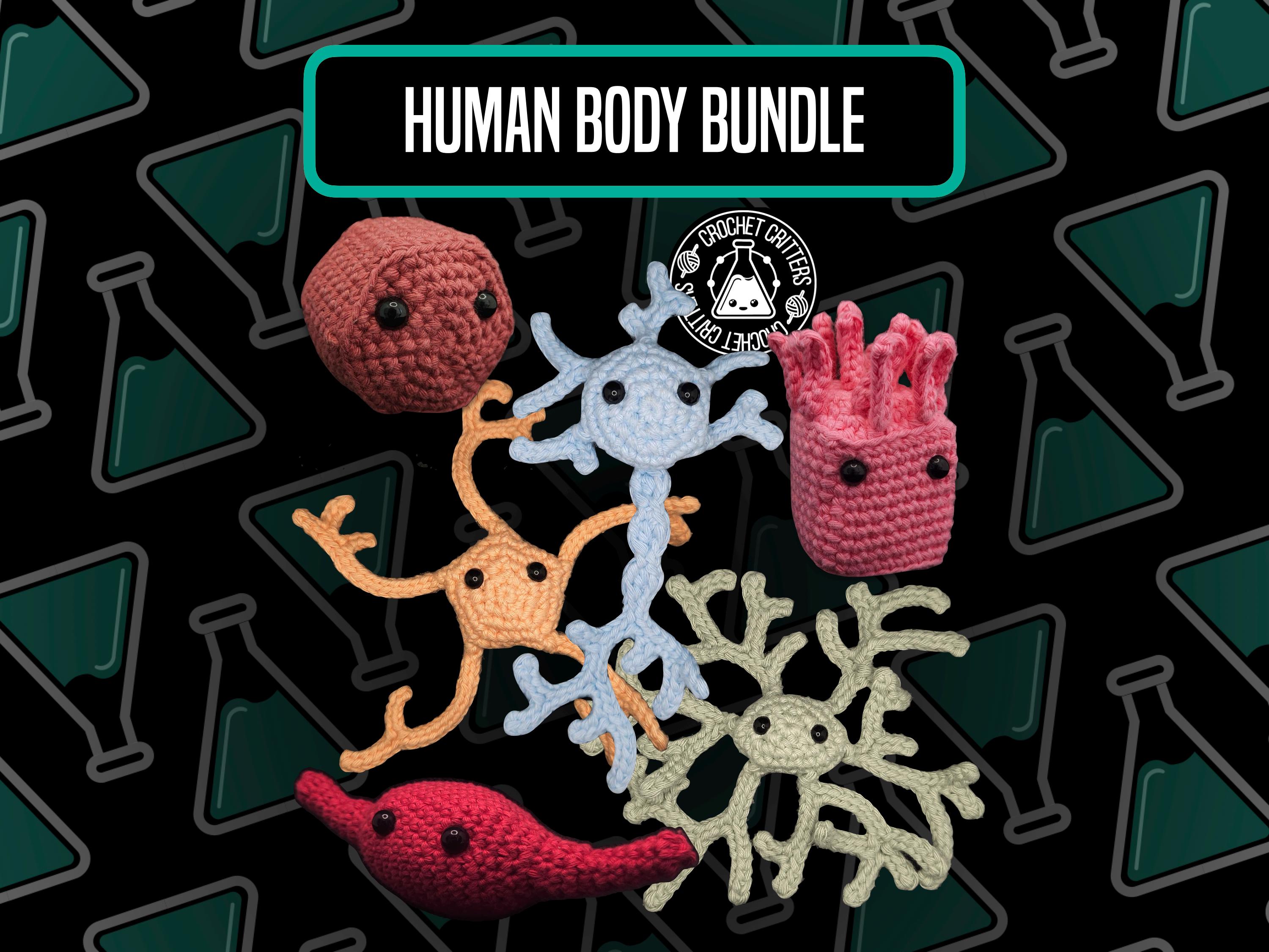 Human Body Bundle - 6x Crochet Patterns - Etsy
