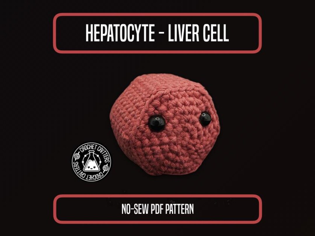 Hepatocyte (liver Cell) - No-sew Crochet Pattern - Etsy