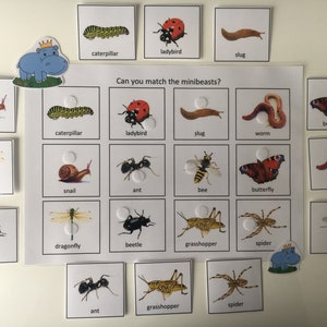 Matching Minibeasts, Insects Game, Bugs, Flash Cards, Pre School, EYFS ...