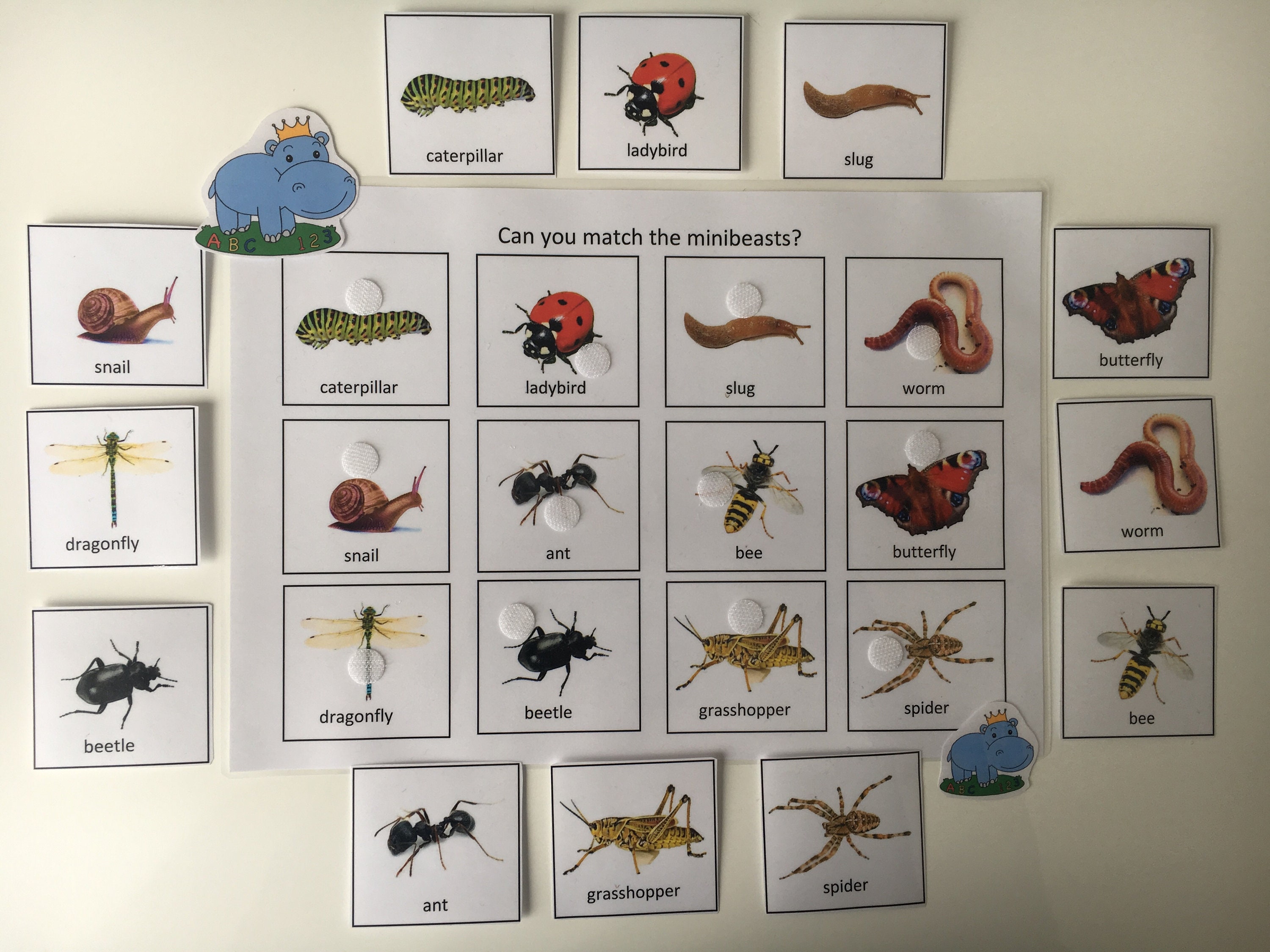 Matching Minibeasts, Insects Game, Bugs, Flash Cards, Pre School, EYFS ...