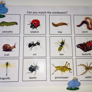 Matching Minibeasts, Insects Game, Bugs, Flash Cards, Pre School, EYFS ...