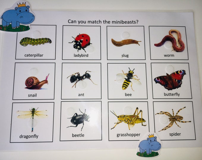 Matching Minibeasts, Insects Game, Bugs, Flash Cards, Pre School, EYFS ...