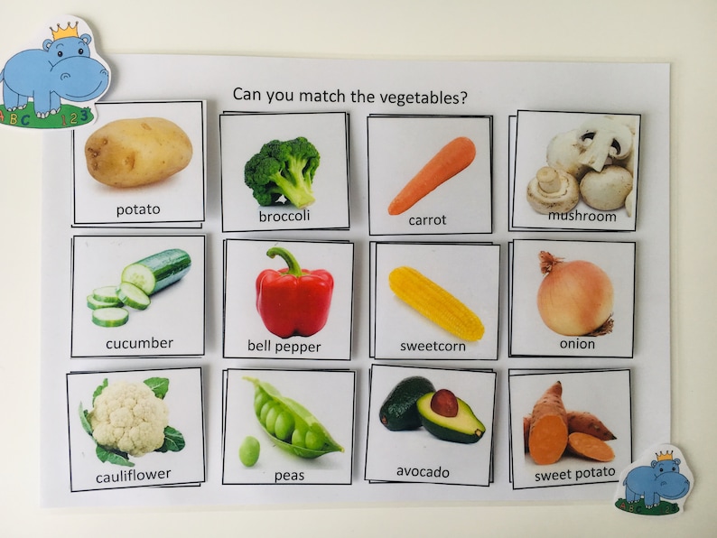 Vegetable Matching Vegetable Game Flash Cards Learning - Etsy