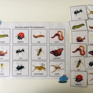Matching Minibeasts, Insects Game, Bugs, Flash Cards, Pre School, EYFS ...