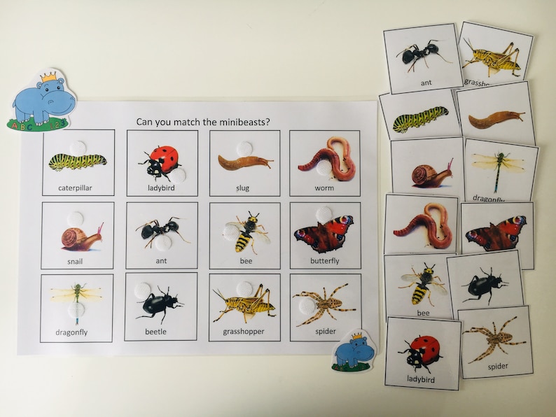 Matching Minibeasts, Insects Game, Bugs, Flash Cards, Pre School, EYFS ...