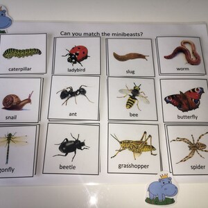 Matching Minibeasts, Insects Game, Bugs, Flash Cards, Pre School, EYFS ...