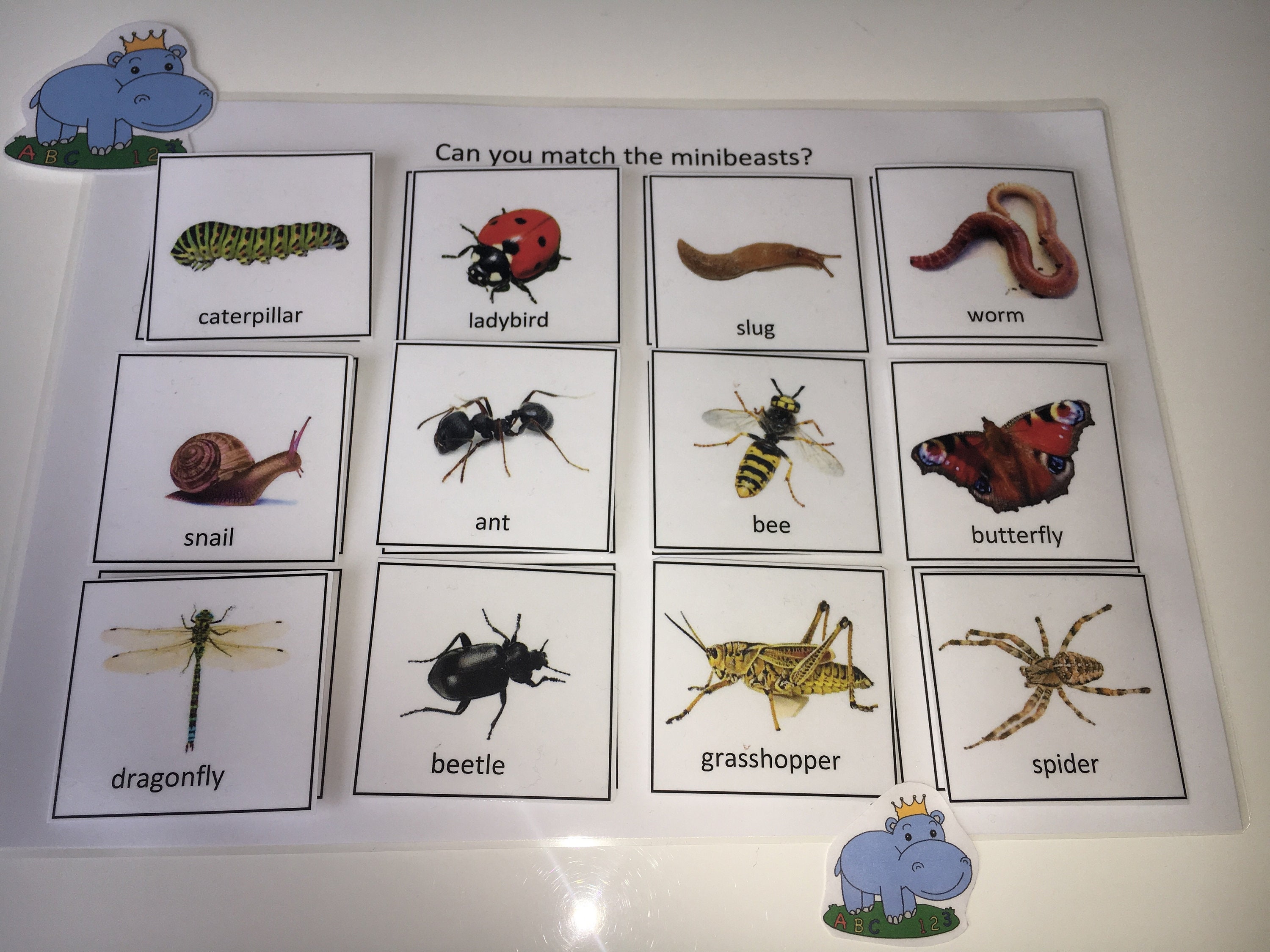 Matching Minibeasts, Insects Game, Bugs, Flash Cards, Pre School, EYFS ...
