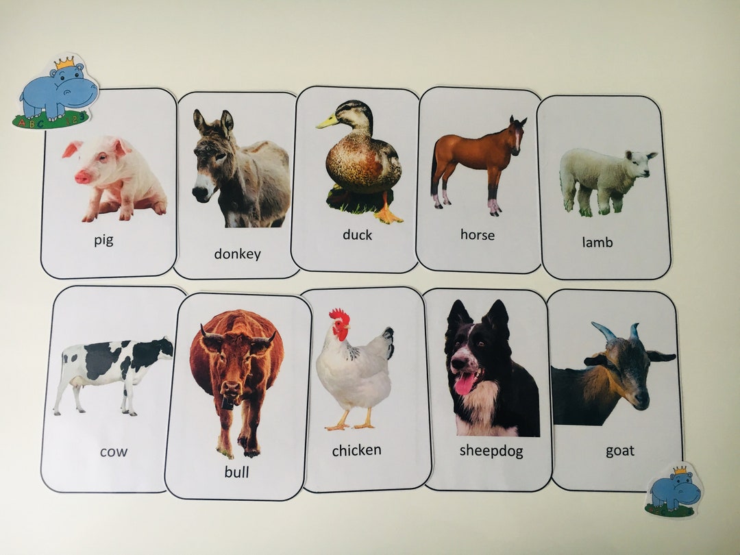 Farm Animal Flashcards, Flash Cards, Learn Animals, Animal Games, Game ...