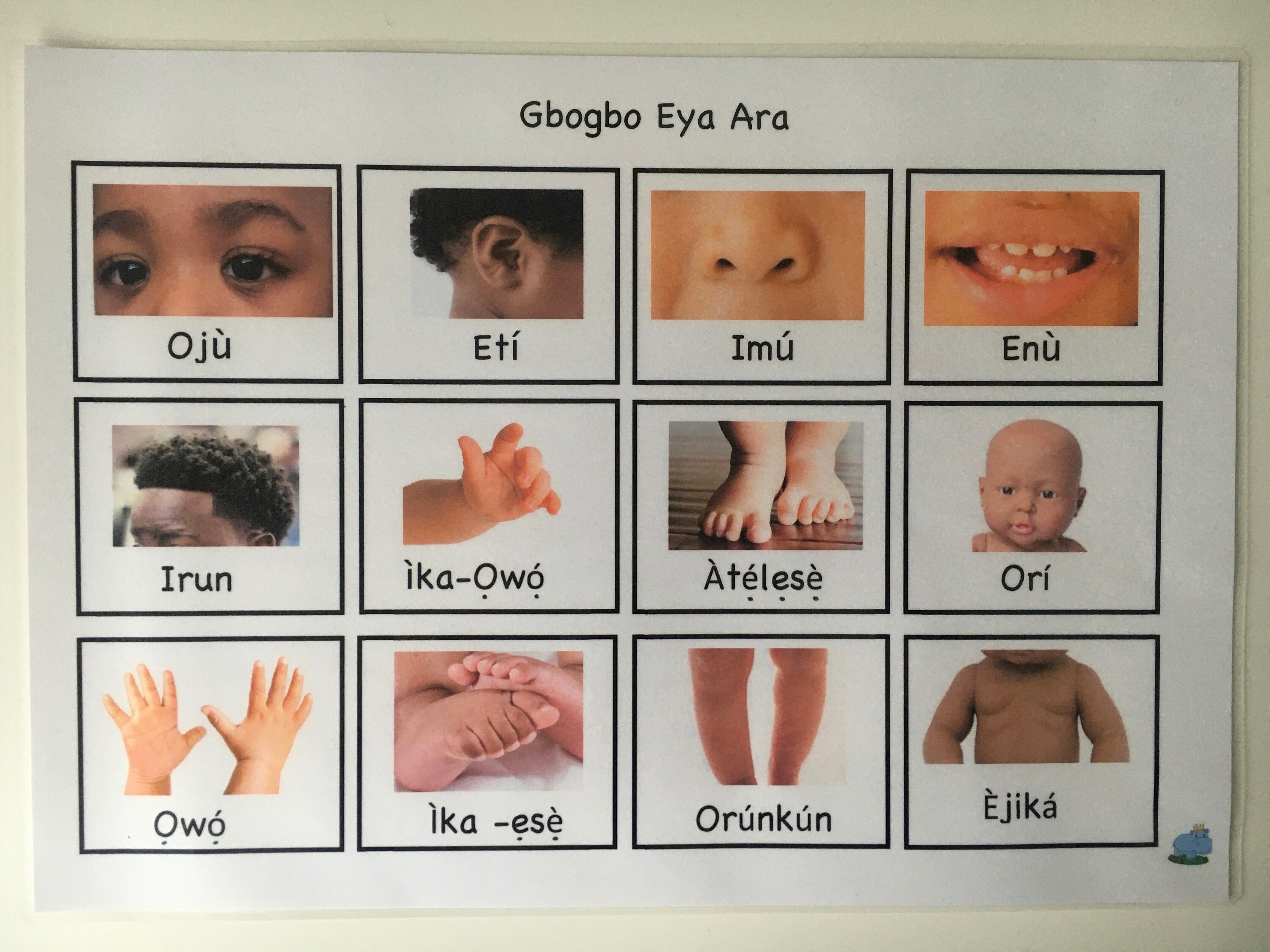 Yoruba Body Parts, Learn Yoruba, Eya Ara, Yoruba Alphabet, Nigerian ...