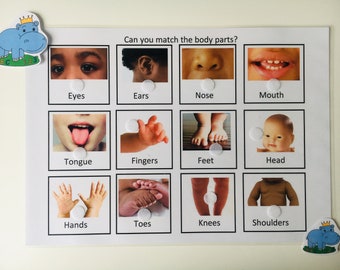 Body Parts Flashcards - Etsy