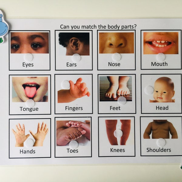 Body Parts - Etsy UK